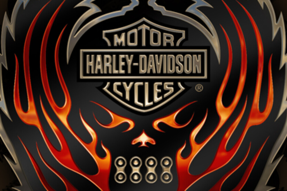 Harley Davidson Flame Logo Harley Davidson® Chrome Bar & Shield Logo